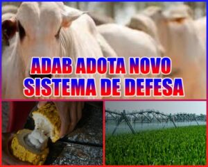 NOVO SISTEMA – Adab implanta novo Sistema de Defesa Agropecuária ...